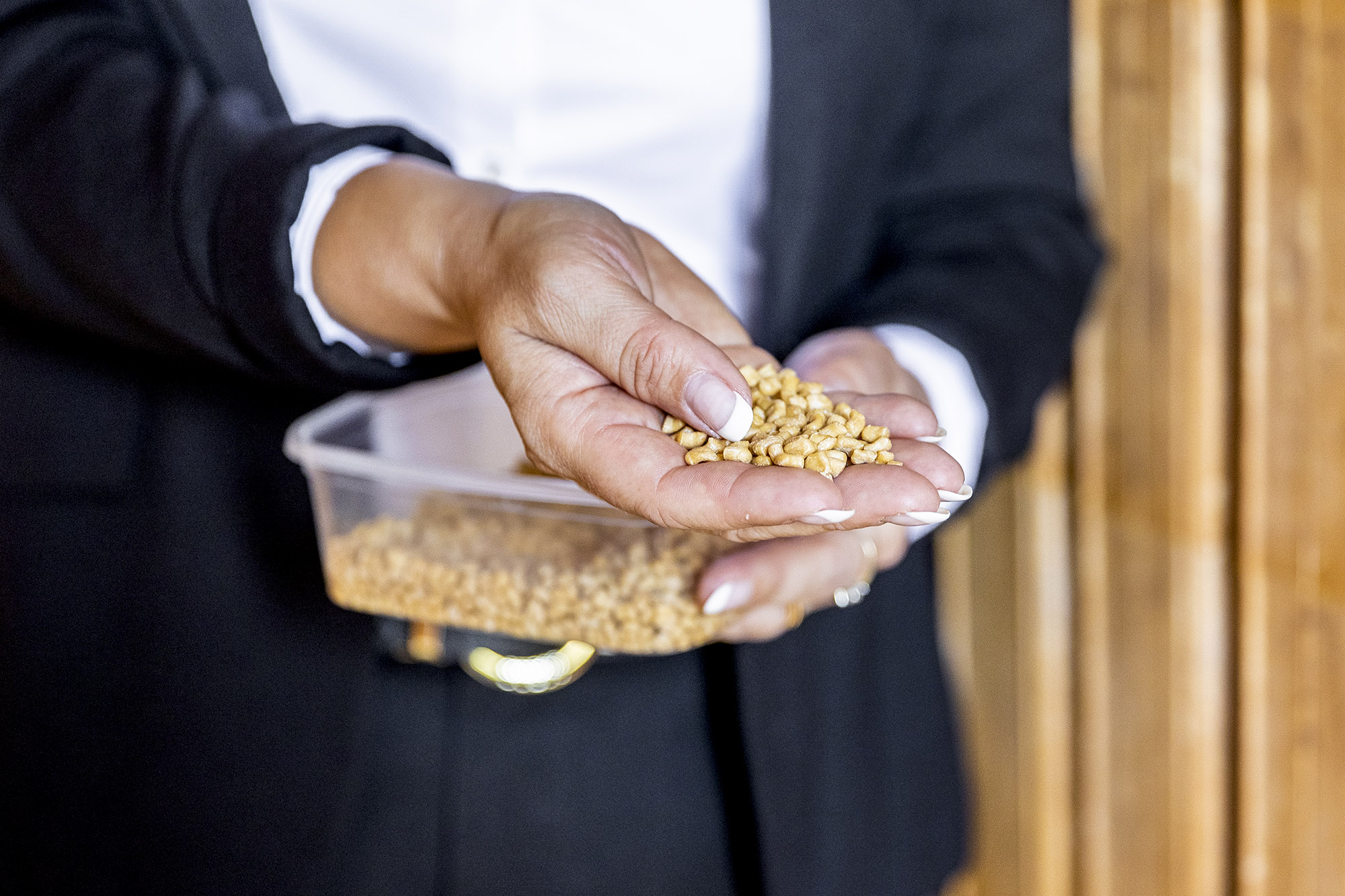 Plastics Waste for Rapid, Low-Cost Housing and Buildings | Plastics Engineering