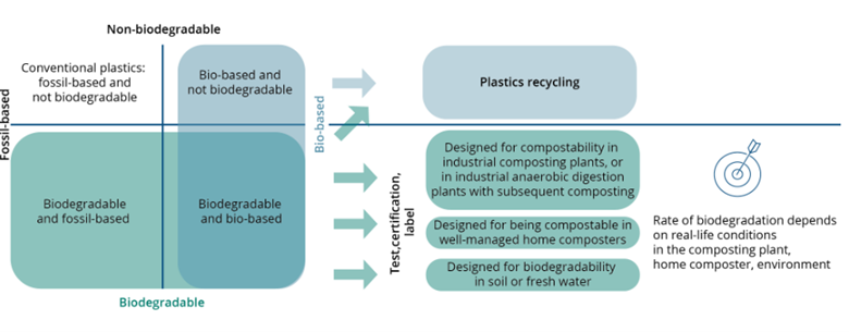 Plastics Biodegradability: What Lies Beneath the Label | Plastics ...