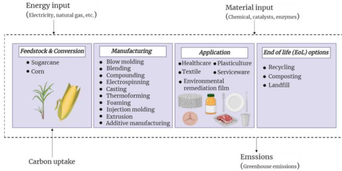 PLA: Sustainable Future? | Plastics Engineering