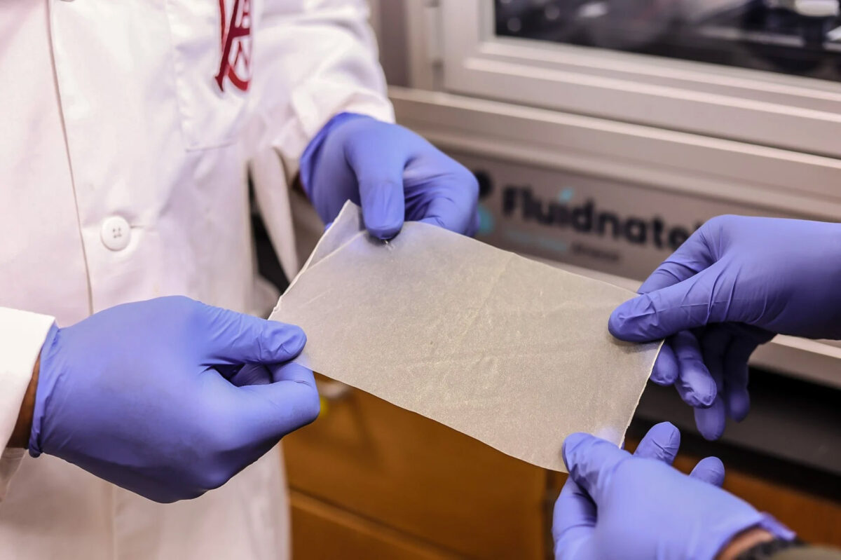 Antimicrobial Nanofilm Pioneering Food Preservation | Plastics Engineering