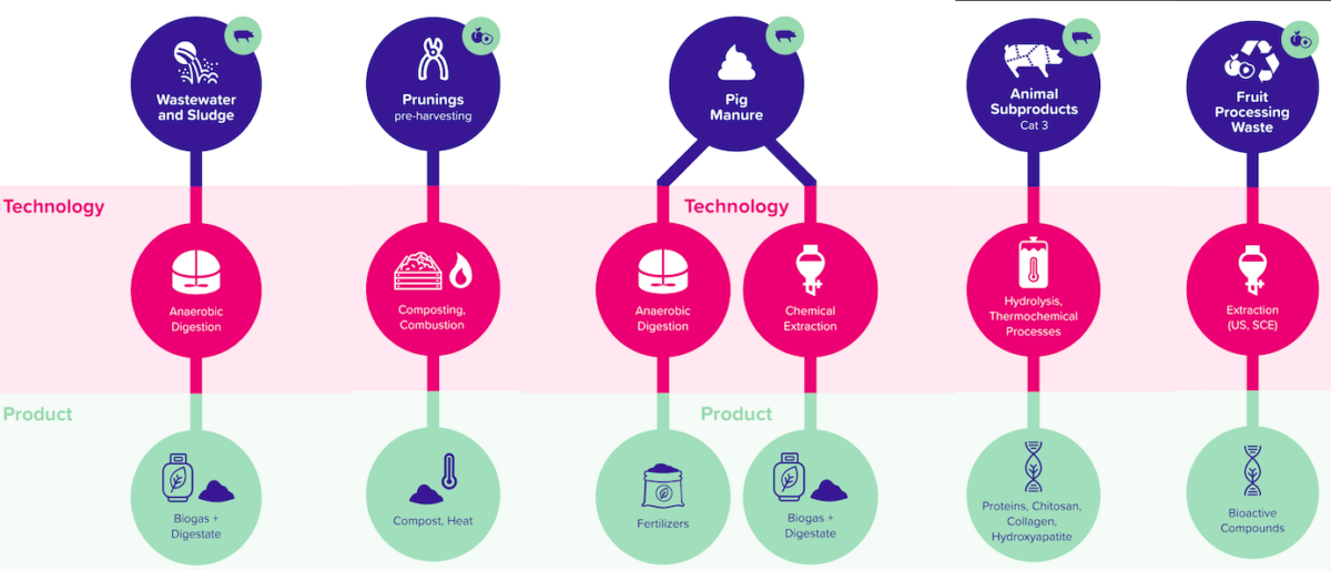 Optimizing Agri-Food Value Chains with Digital Twins | Plastics Engineering