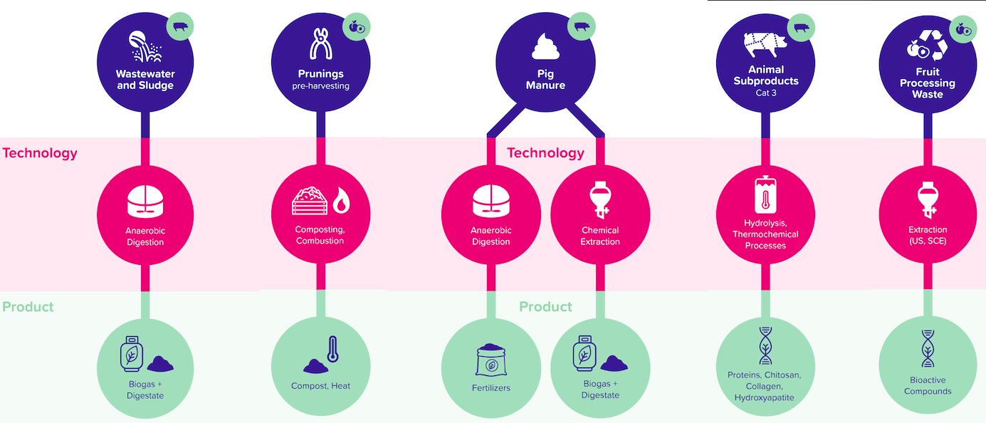 Optimizing Agri-Food Value Chains with Digital Twins | Plastics Engineering