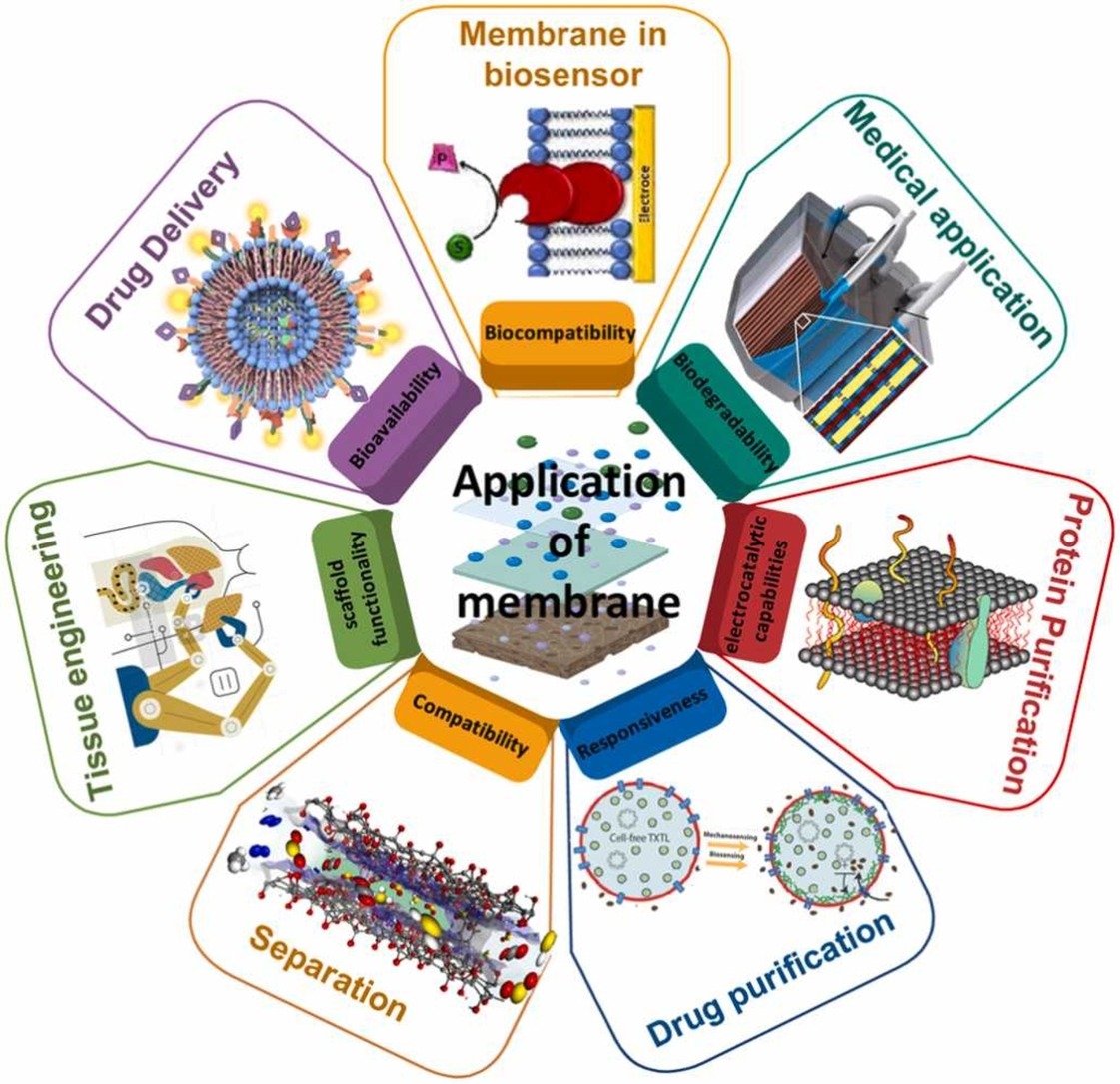 Polymeric Biosensors: A New Era in Medical Diagnostics | Plastics ...