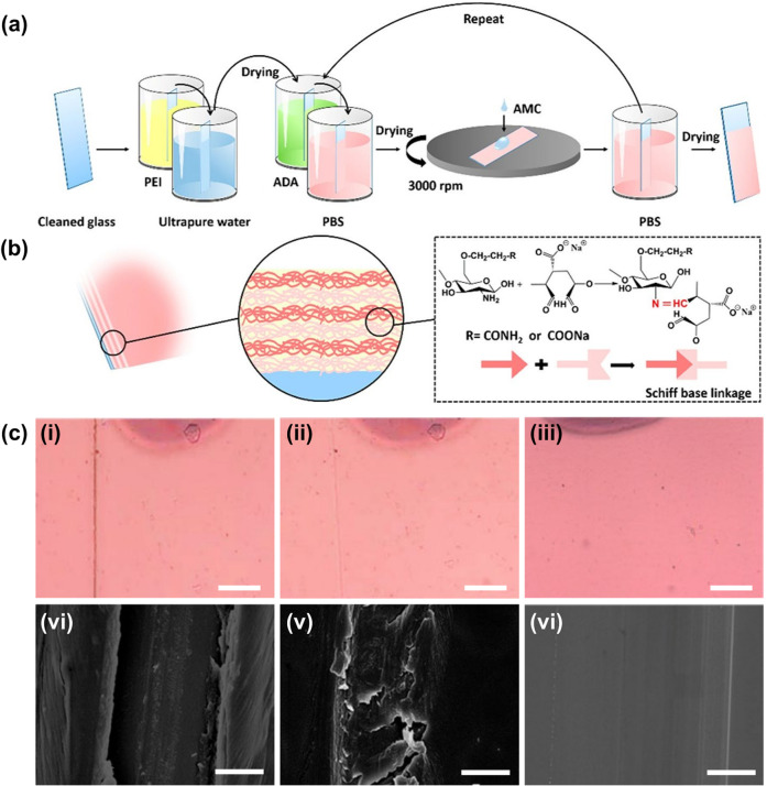 Self-Healing Polymers for Food Packaging | Plastics Engineering