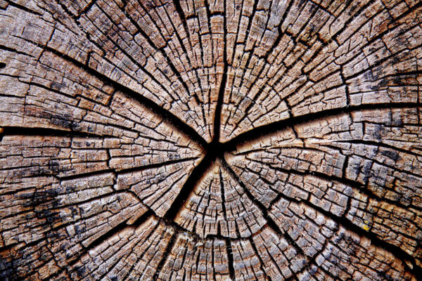 Lignin Polyurethanes: Byproduct to Solution | Plastics Engineering