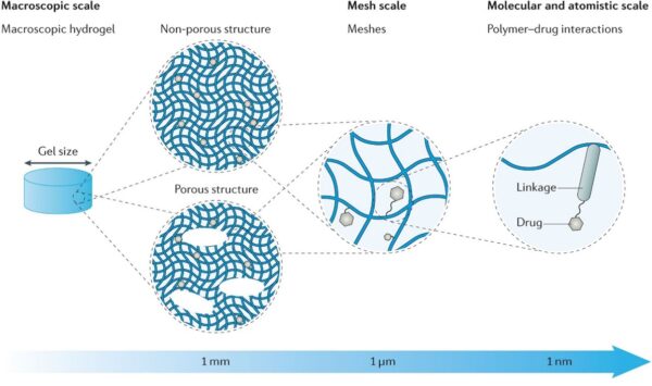 Hydrogels in Targeted Drug Delivery | Plastics Engineering