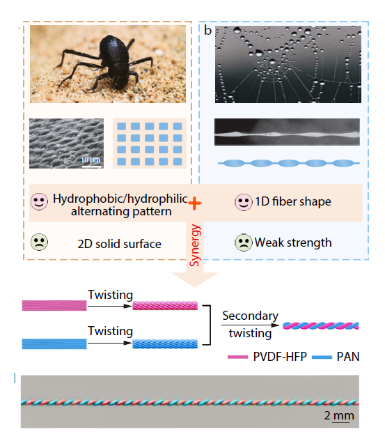 Bioinspired Yarn Enhances Fog Collection for Water Harvesting ...