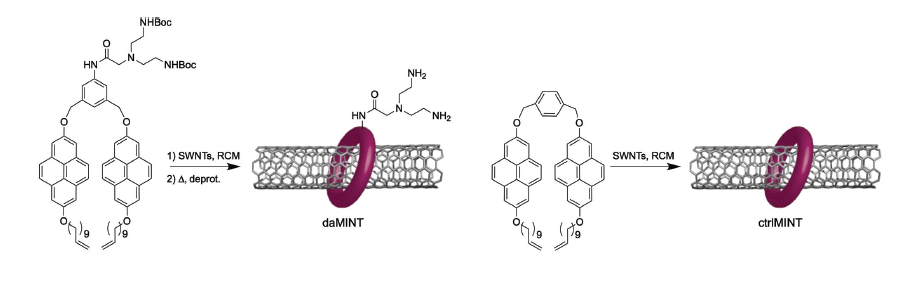Reversible Crosslinking for Sustainable Reinforced Composites ...