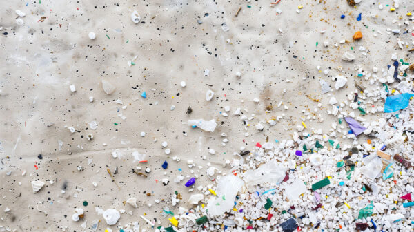 Durable Plastics That Biodegrade in Oceans | Plastics Engineering