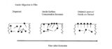 Modifying the Slip of Plastic Films with Additives | Plastics Engineering