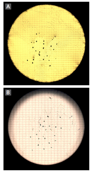 Advancing Microplastics Characterization with FT-IR Microscopy ...