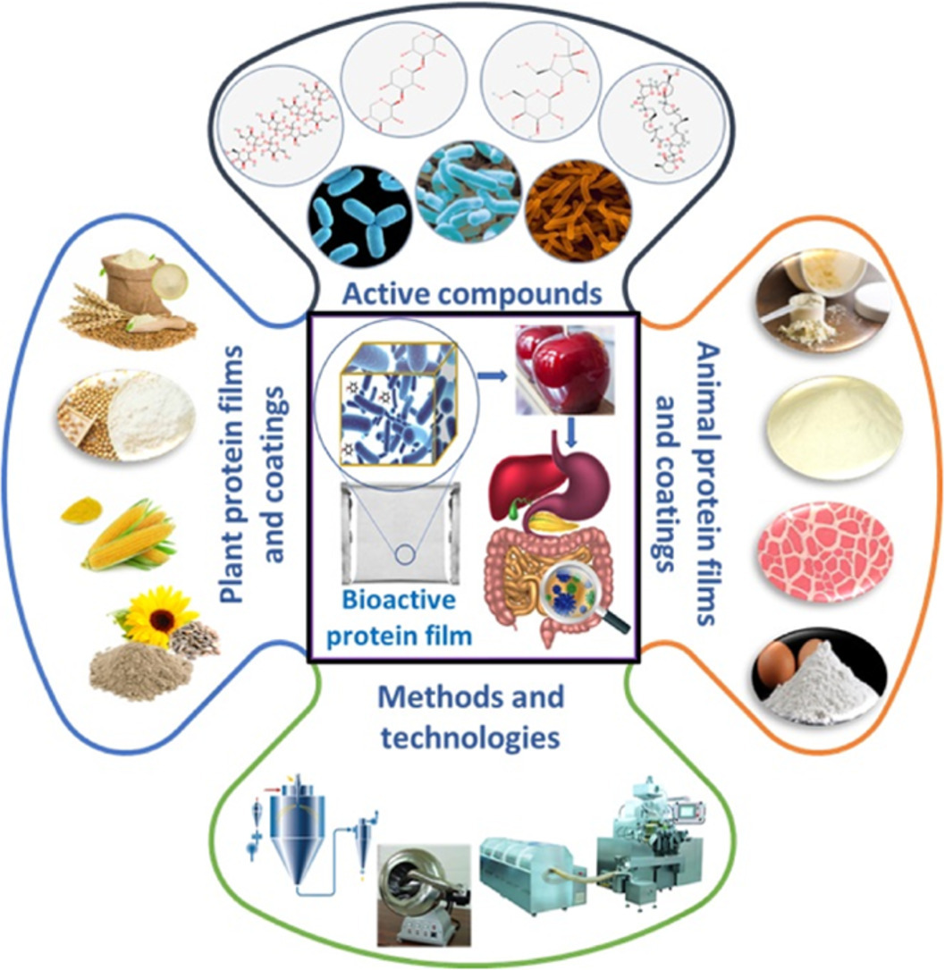 Next-Gen Packaging: Edible and Protein-Based Films | Plastics Engineering