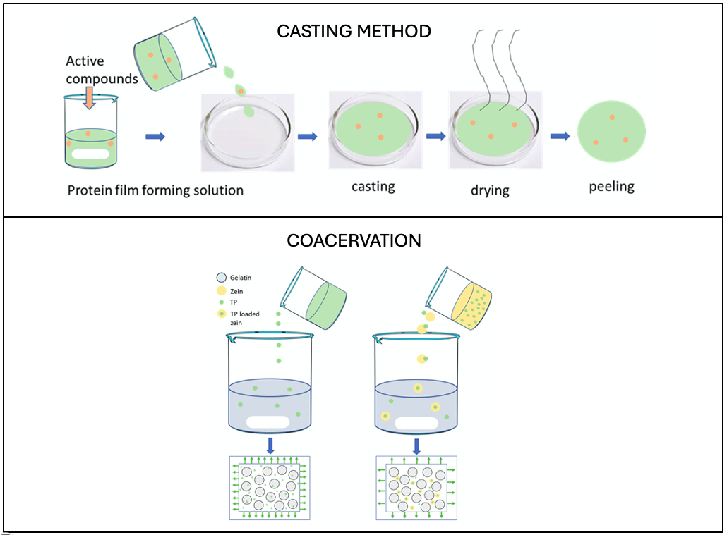 Next-Gen Packaging: Edible and Protein-Based Films | Plastics Engineering