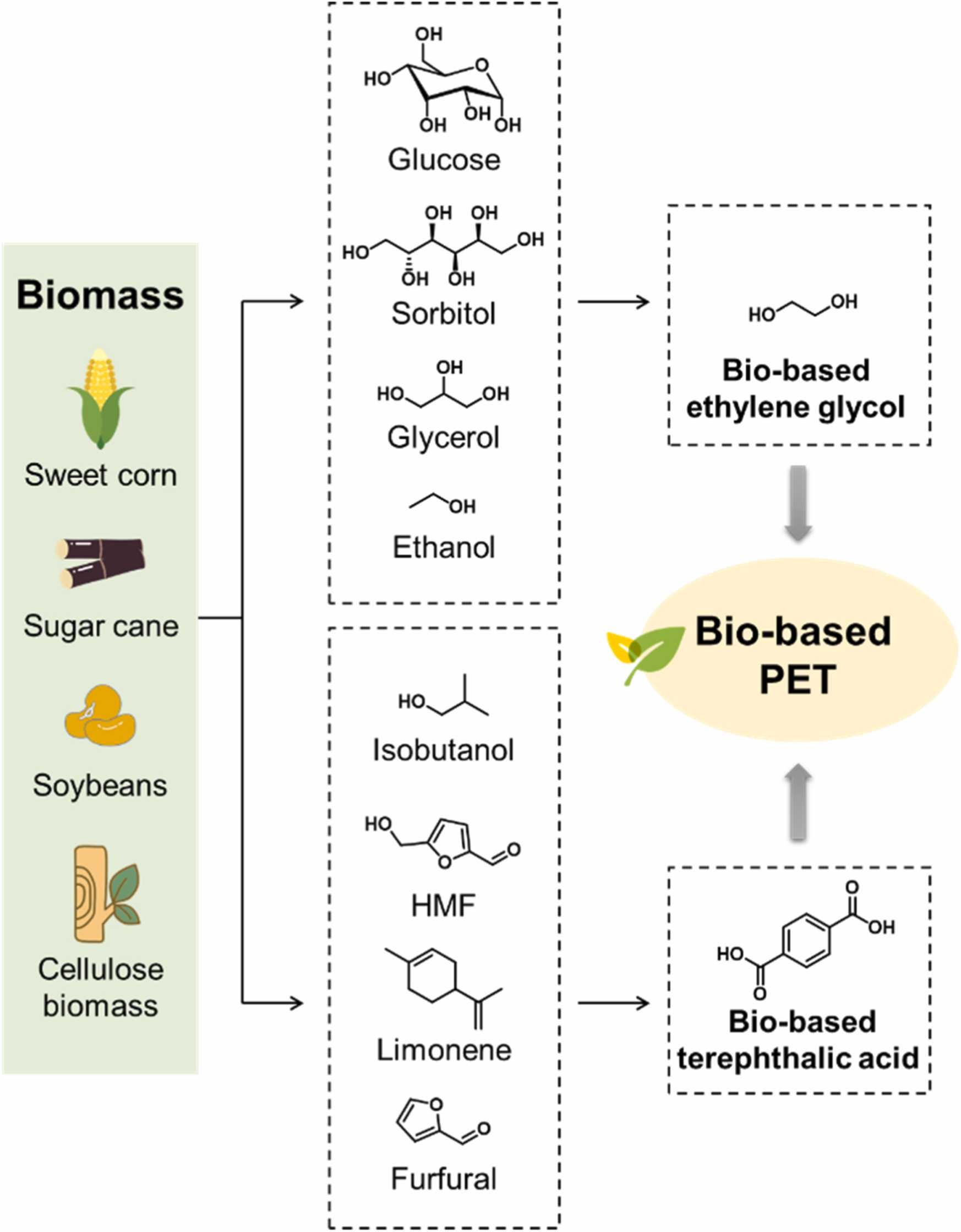 Advancements in Sustainable Polyester | Plastics Engineering