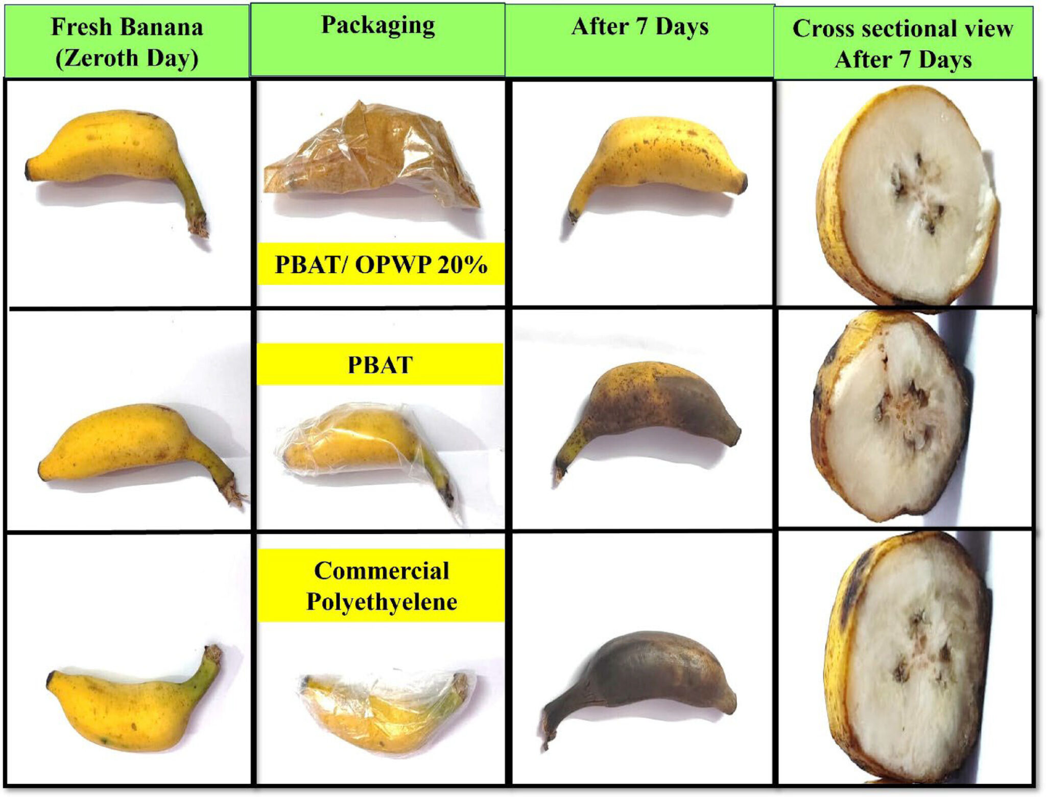 Orange Peel Waste Boosts PBAT Packaging | Plastics Engineering