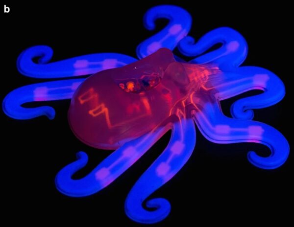 Soft Robotics in Medicine: A Growing Trend Powered by Hydrogels ...