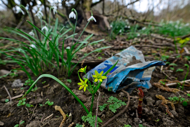 Microplastics and Nanoplastics: Hard to See, Harder to Stop | Plastics ...
