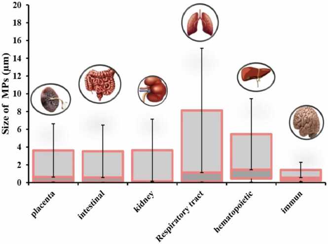 Microplastics and Nanoplastics: What Science Tells Us About Their ...