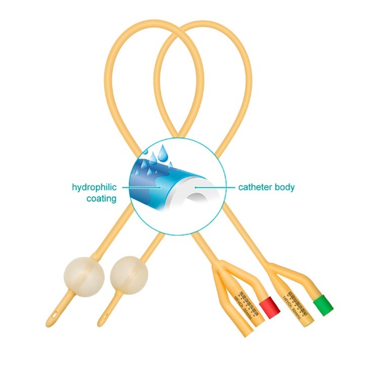 Polymer Solution Casting: A Tool for Advanced Medical Applications ...