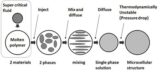 MuCell Designer’s Guide: Mastering Microcellular Injection Molding ...