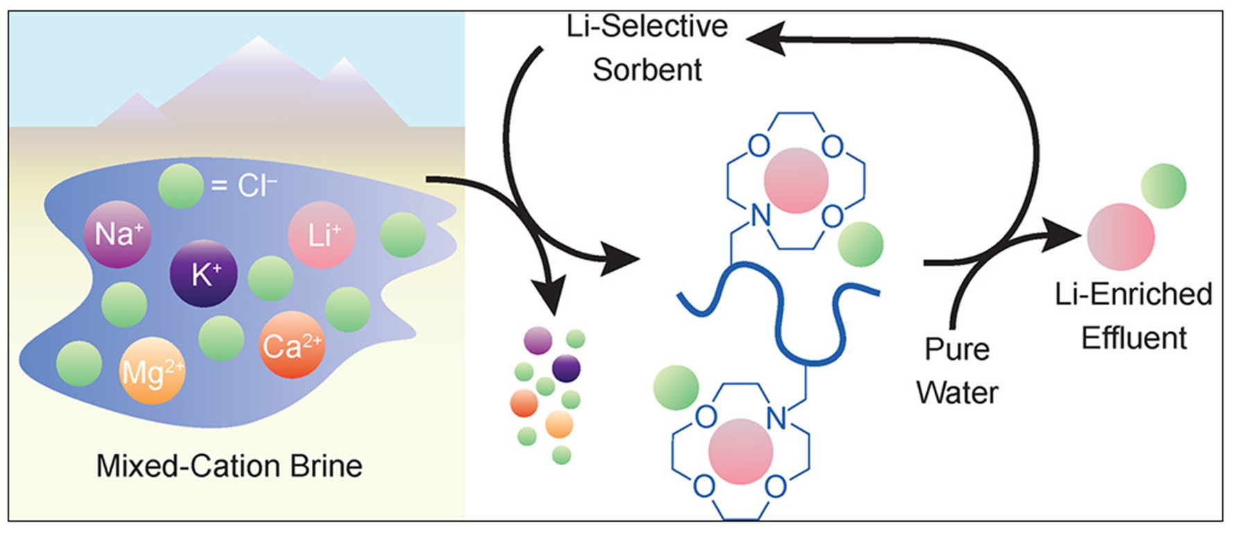 Polymer Sorbents for Critical Minerals | Plastics Engineering