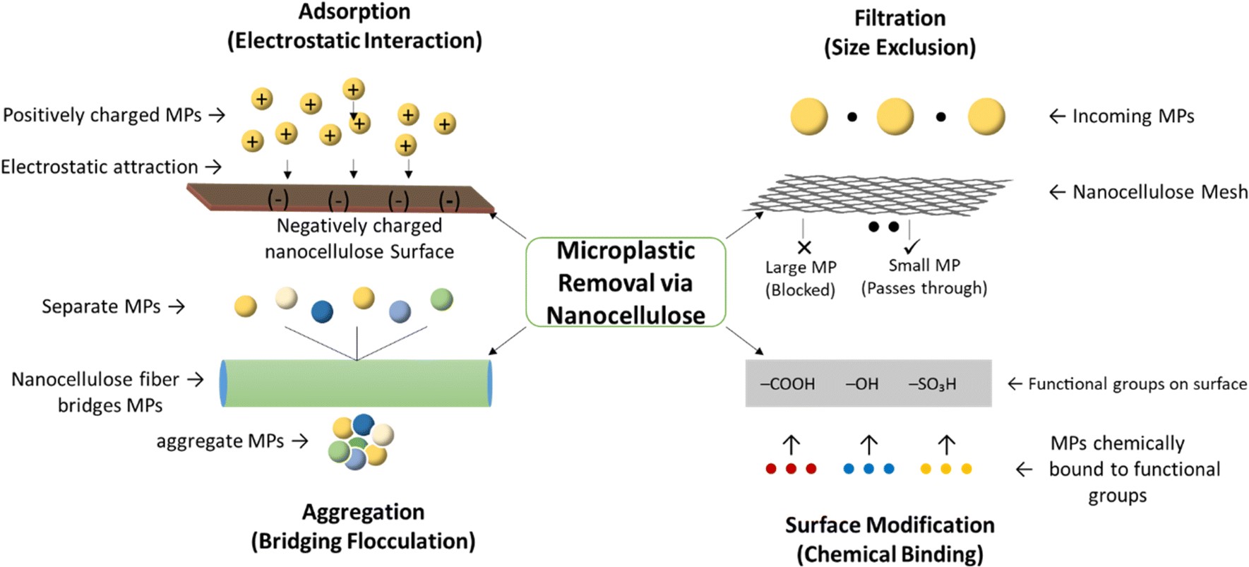 Bio-Based Media for Micro- and Nanoplastics Removal | Plastics Engineering